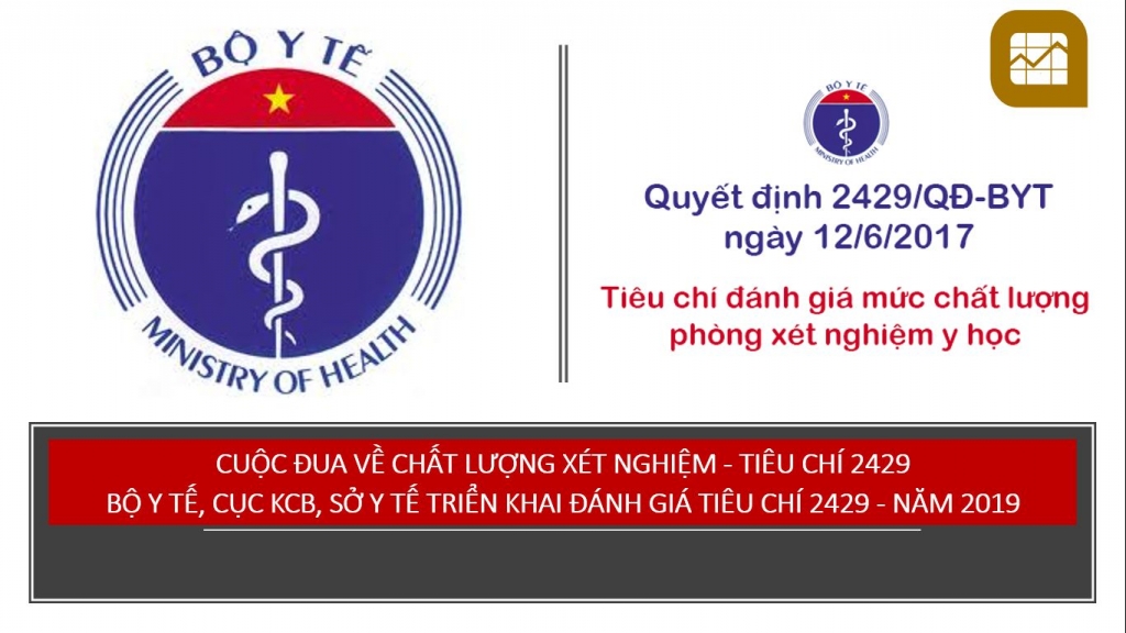 kiểm tra tiêu chí 2429 cuối năm